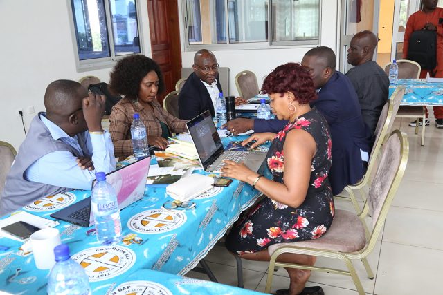 RAISE 4 ZDC in Sahel Project initiates Communication Plan – CBC Health ...